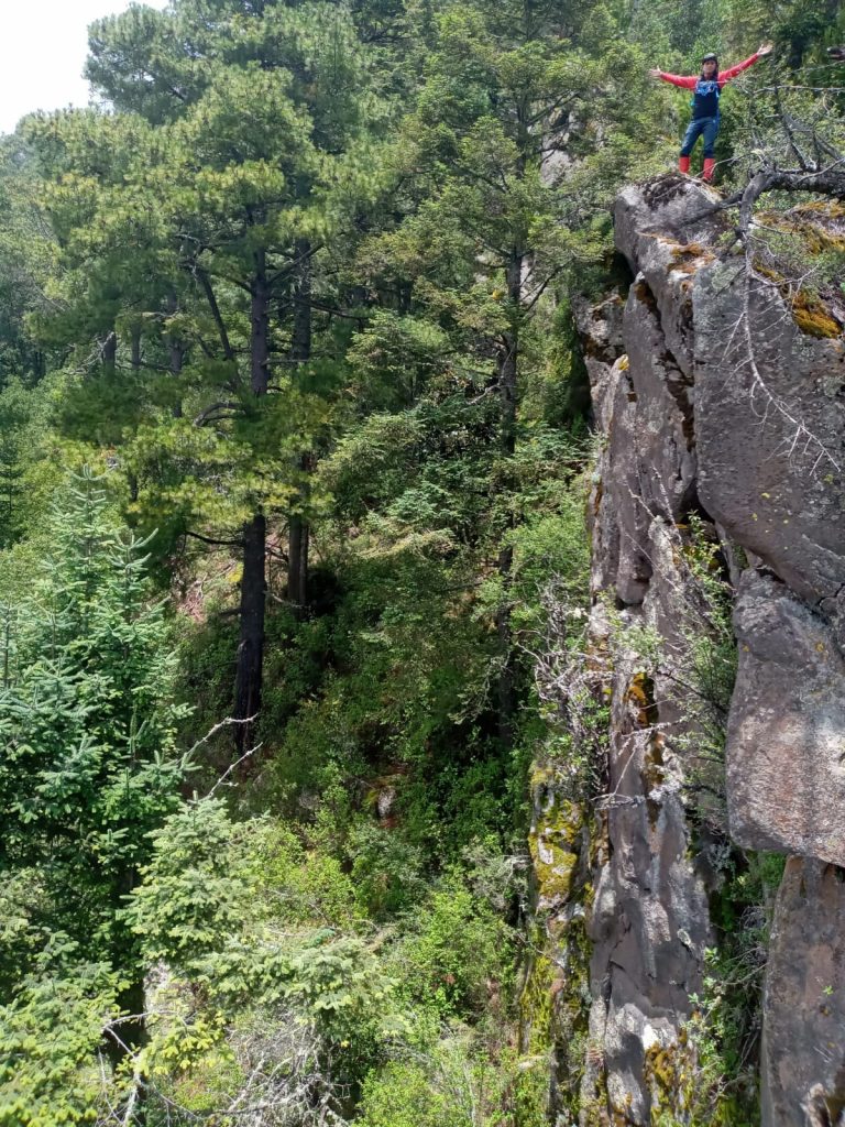 En Acuitzio está uno de los cinco gigantes naturales de Michoacán ...