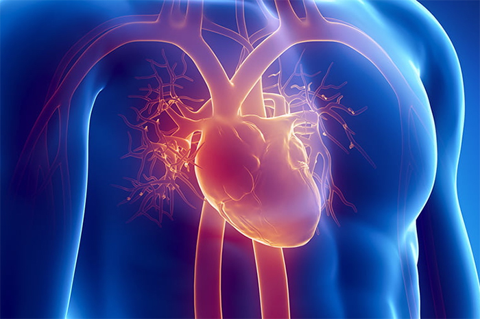 Endogamia eleva incidencia de cardiopatías genéticas en sur de México