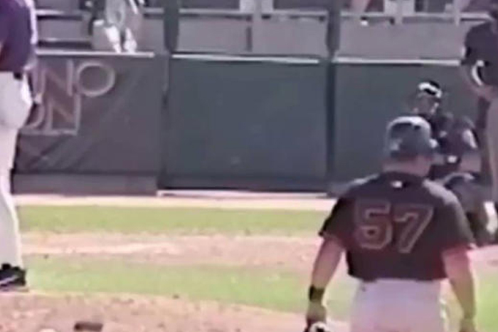 Pitcher de Diamondbacks golpea y mata a una paloma con un lanzamiento ...